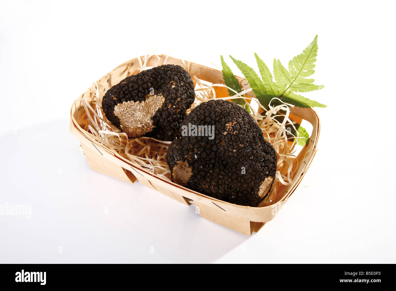 Basket fern plant hi-res stock photography and images - Alamy