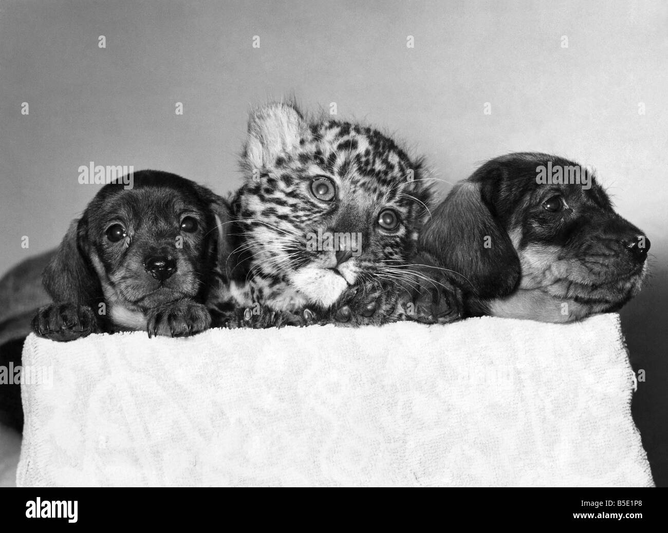 Time for a change Black and White Stock Photos & Images - Alamy