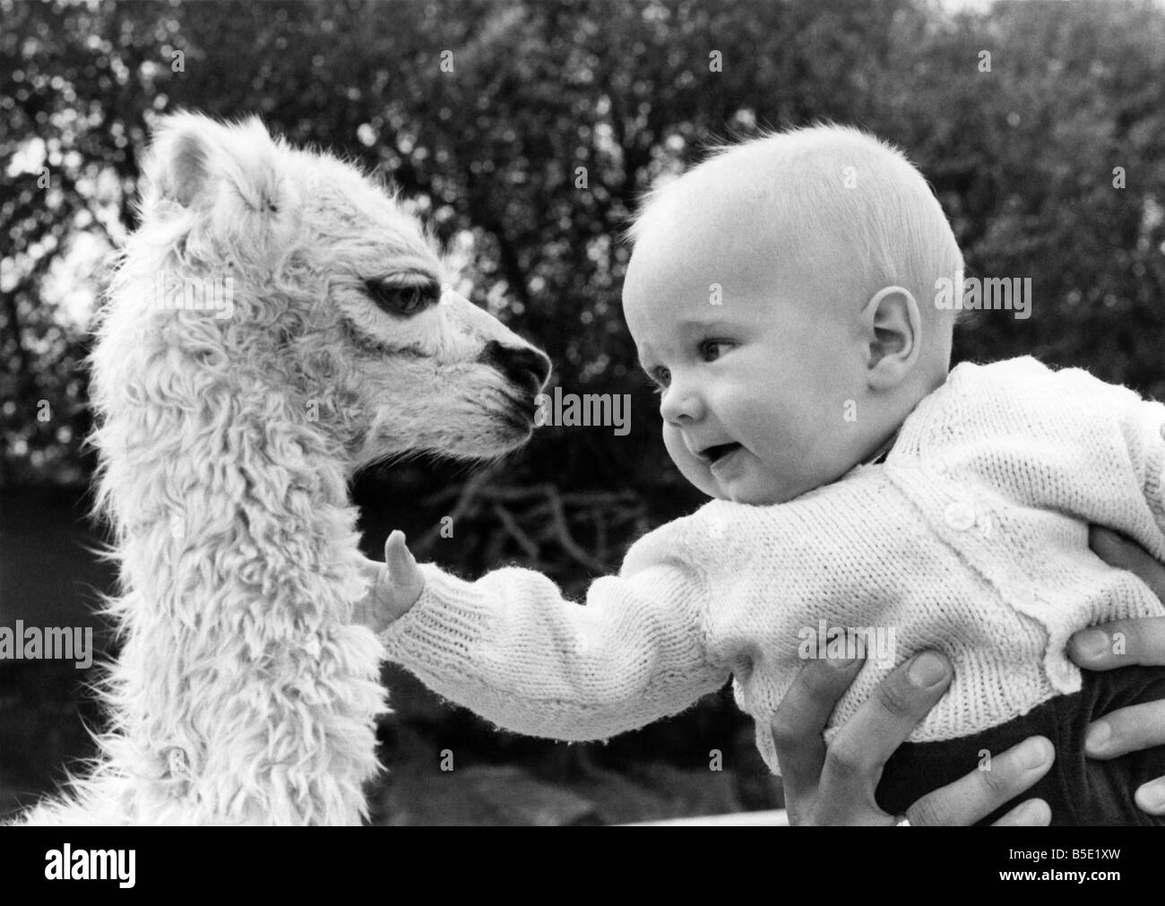 Little Steven High Resolution Stock Photography and Images - Alamy