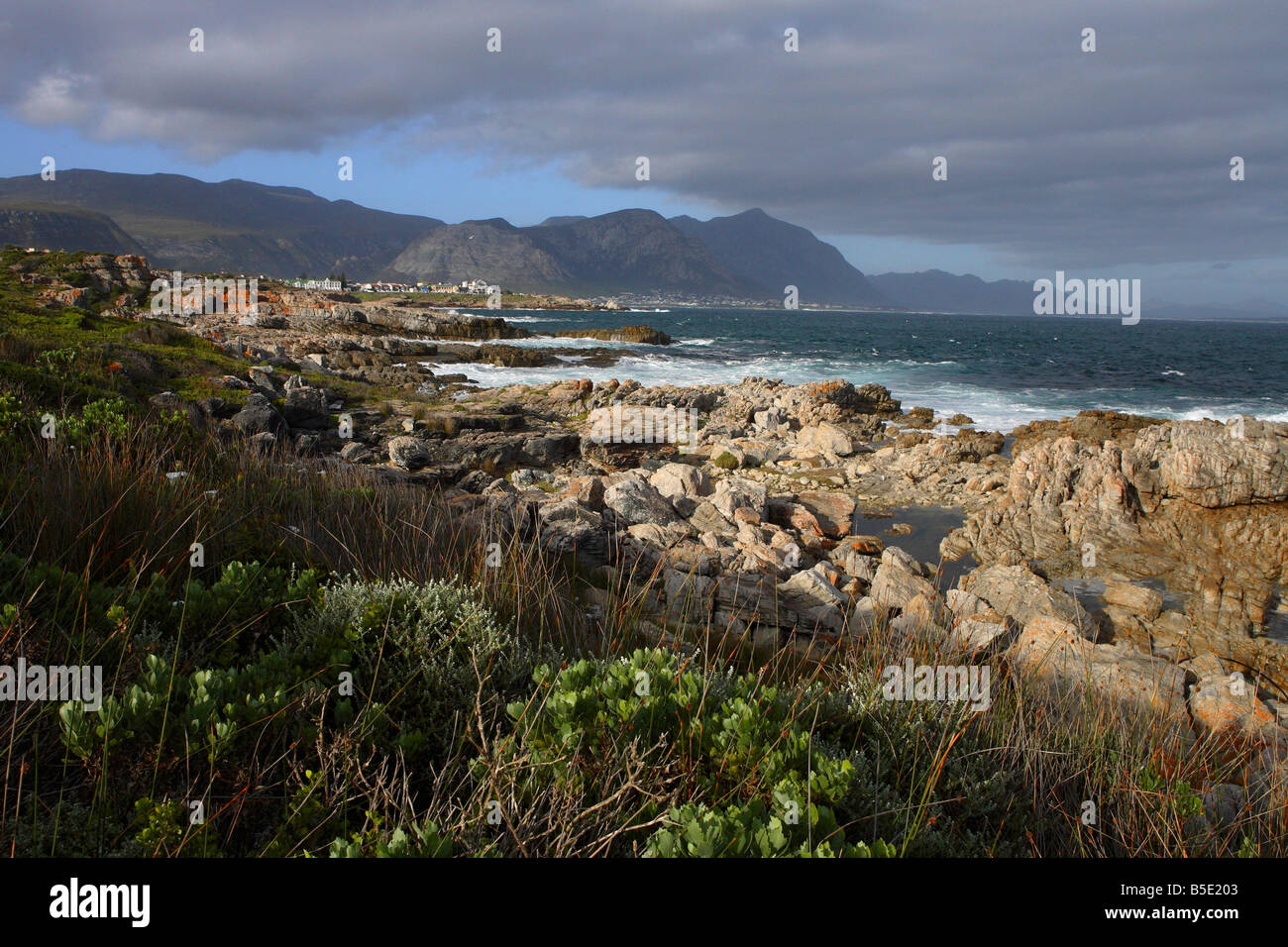 Coast line of Hermanus - South Africa Stock Photo - Alamy