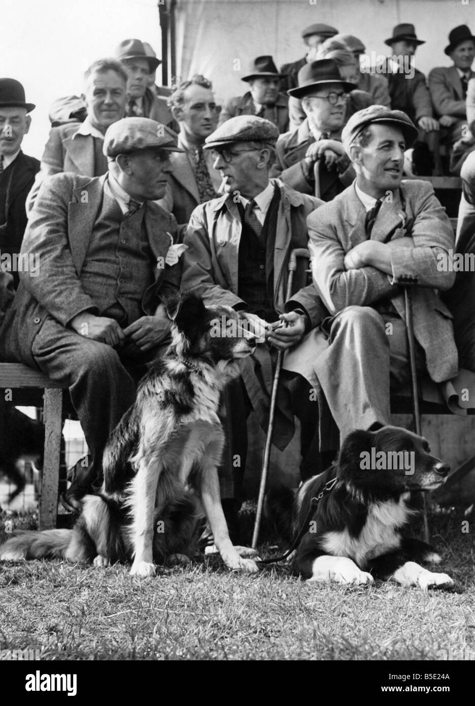 The dog and bell Black and White Stock Photos & Images - Alamy