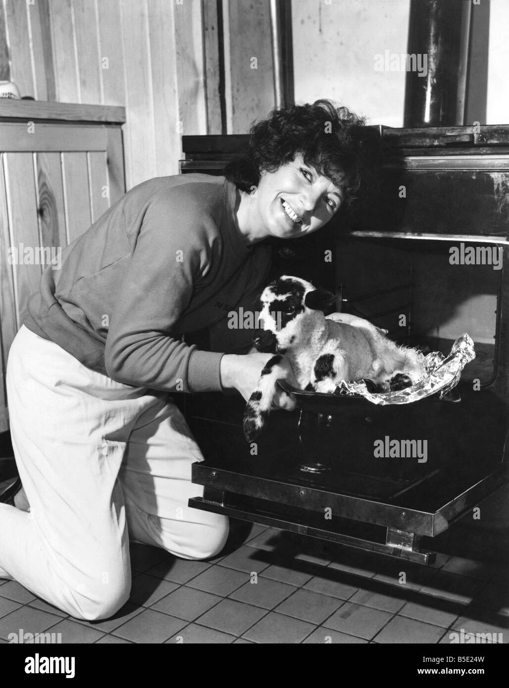1980s woman in kitchen High Resolution Stock Photography and Images - Alamy