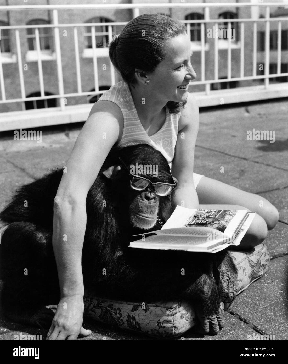 Chipperfield circus hi-res stock photography and images - Alamy