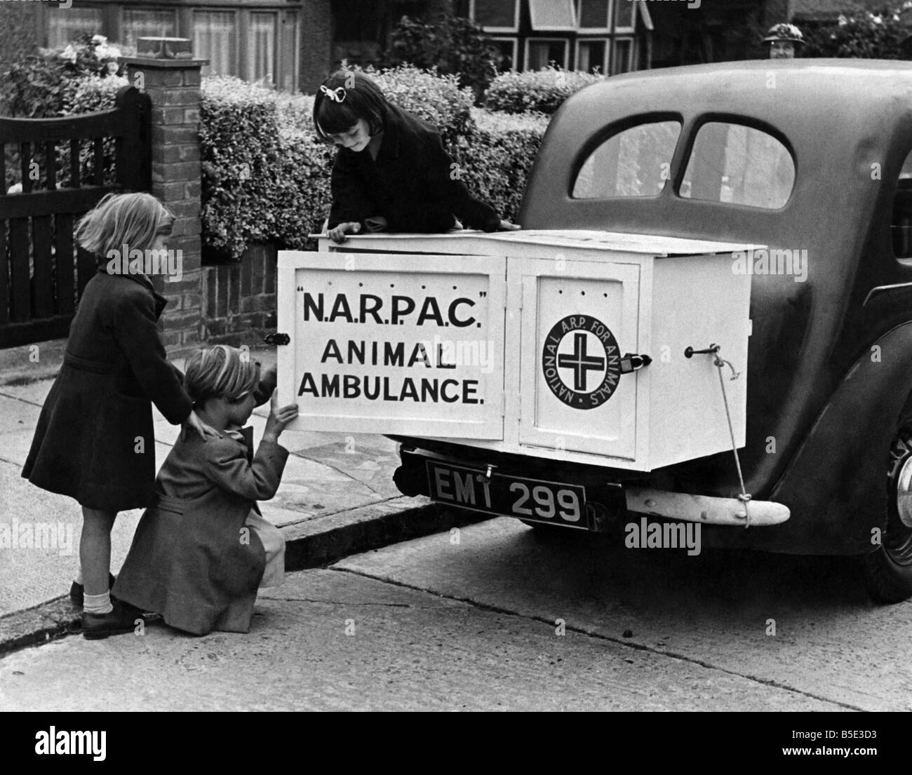 Animal ambulance hi-res stock photography and images - Alamy