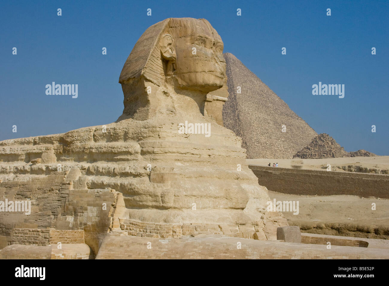 The Sphinx in Giza in Cairo Egypt Stock Photo - Alamy