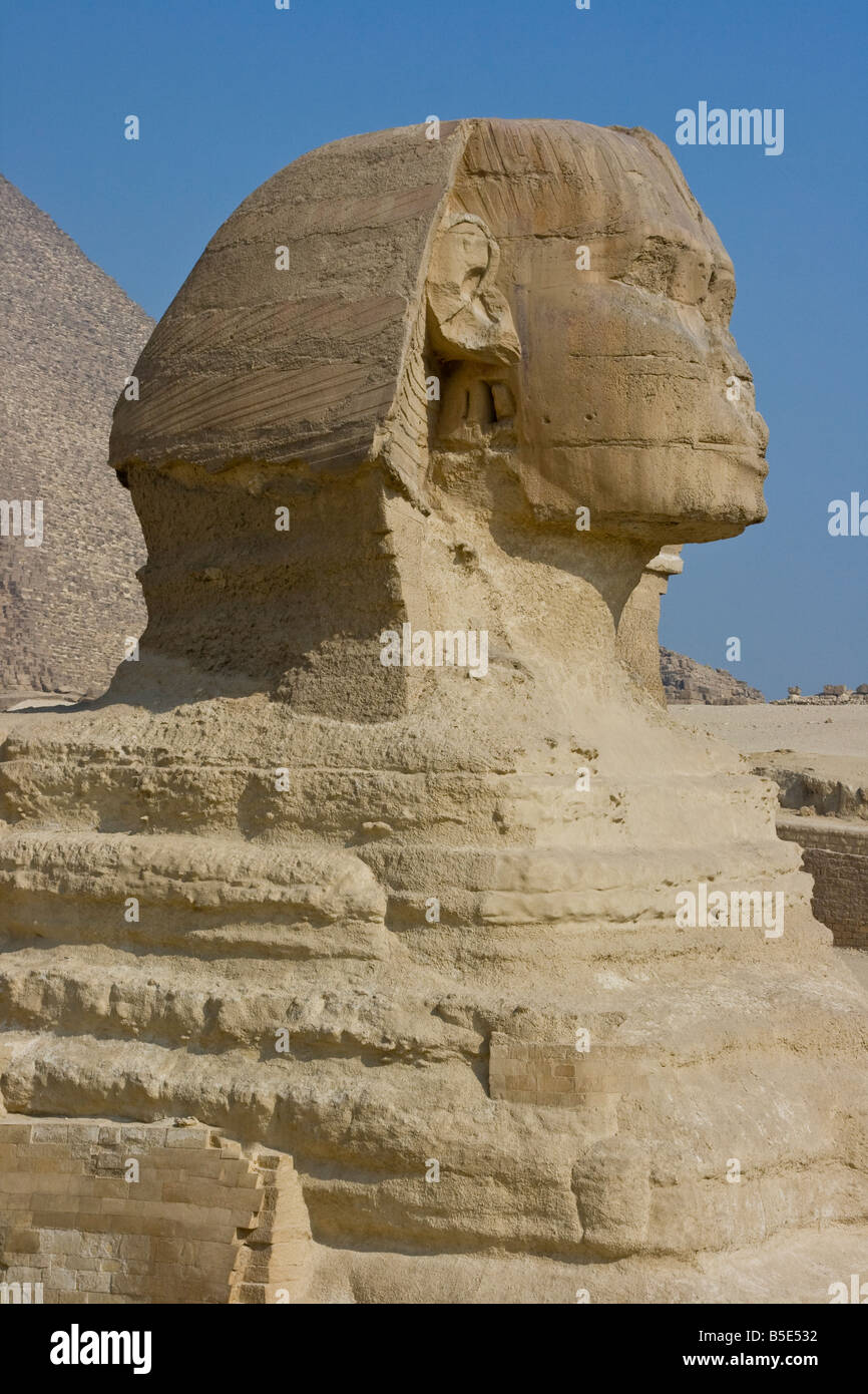 The Sphinx in Giza in Cairo Egypt Stock Photo - Alamy