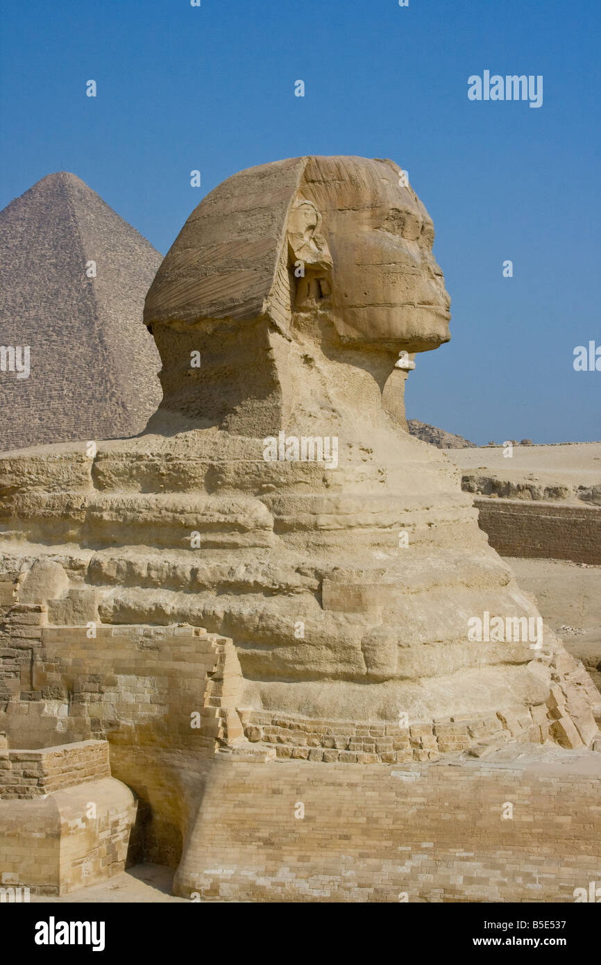 The Sphinx in Giza in Cairo Egypt Stock Photo - Alamy