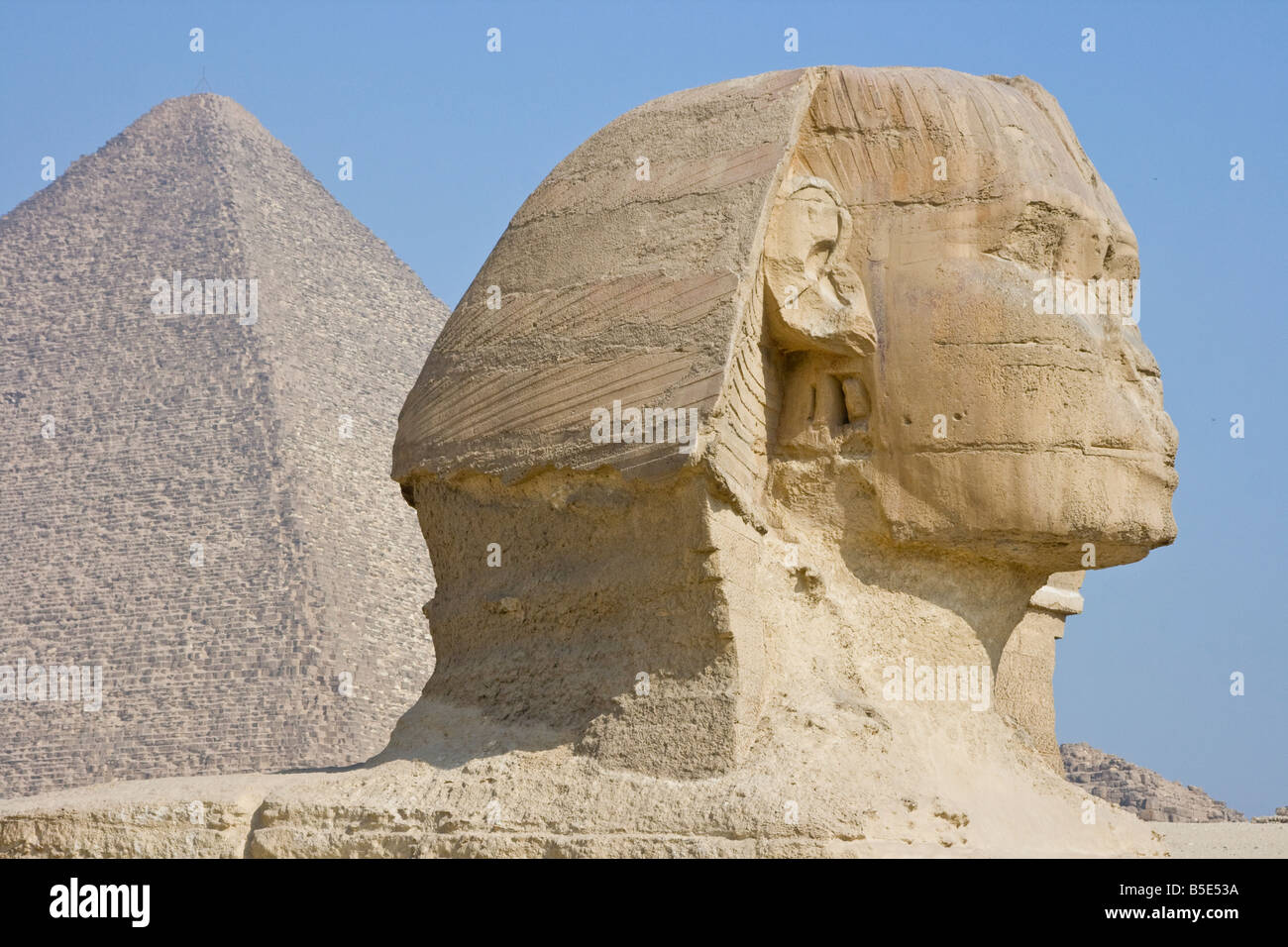The Sphinx in Giza in Cairo Egypt Stock Photo - Alamy