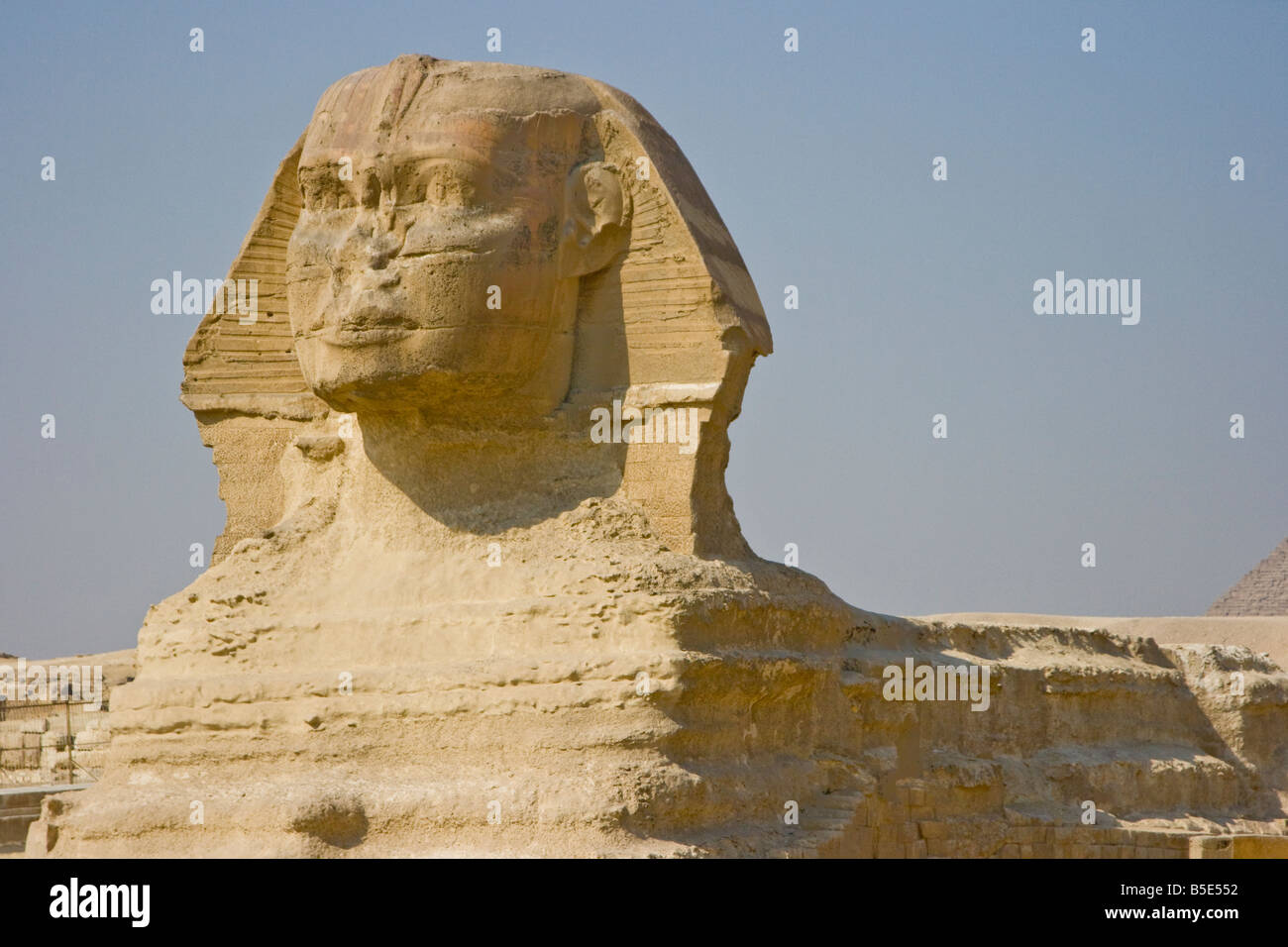 The Sphinx in Giza in Cairo Egypt Stock Photo - Alamy