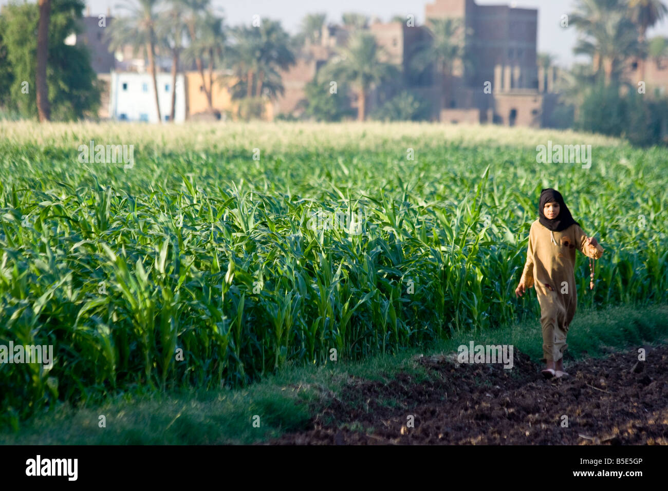 Muslim agriculture hi-res stock photography and images - Alamy