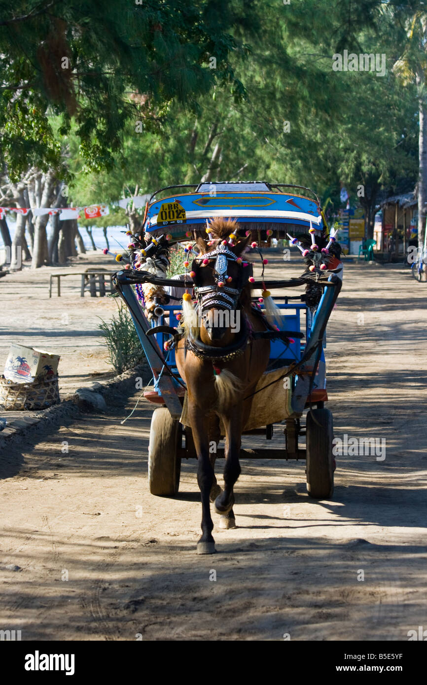 Cidomo Horse High Resolution Stock Photography and Images - Alamy