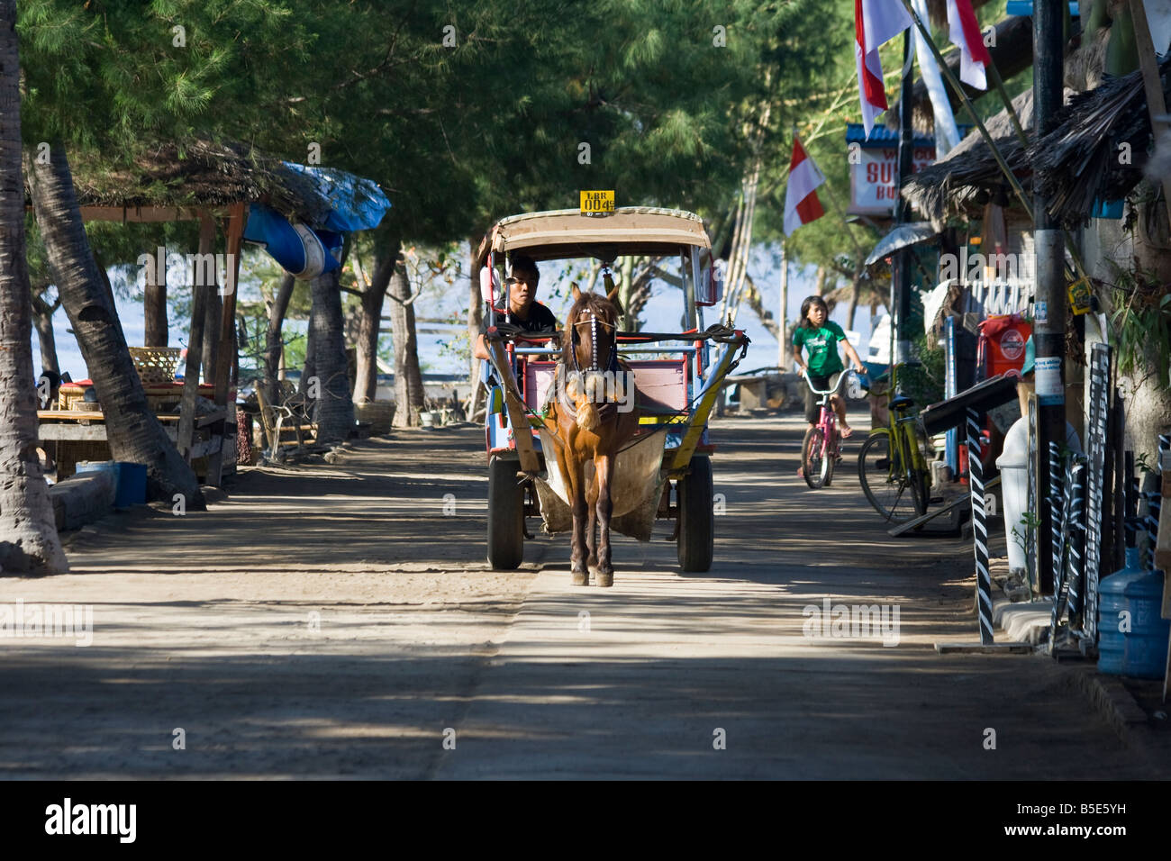 Cidomo Horse Carriage on Lombok Island in Indonesia Stock Photo - Alamy