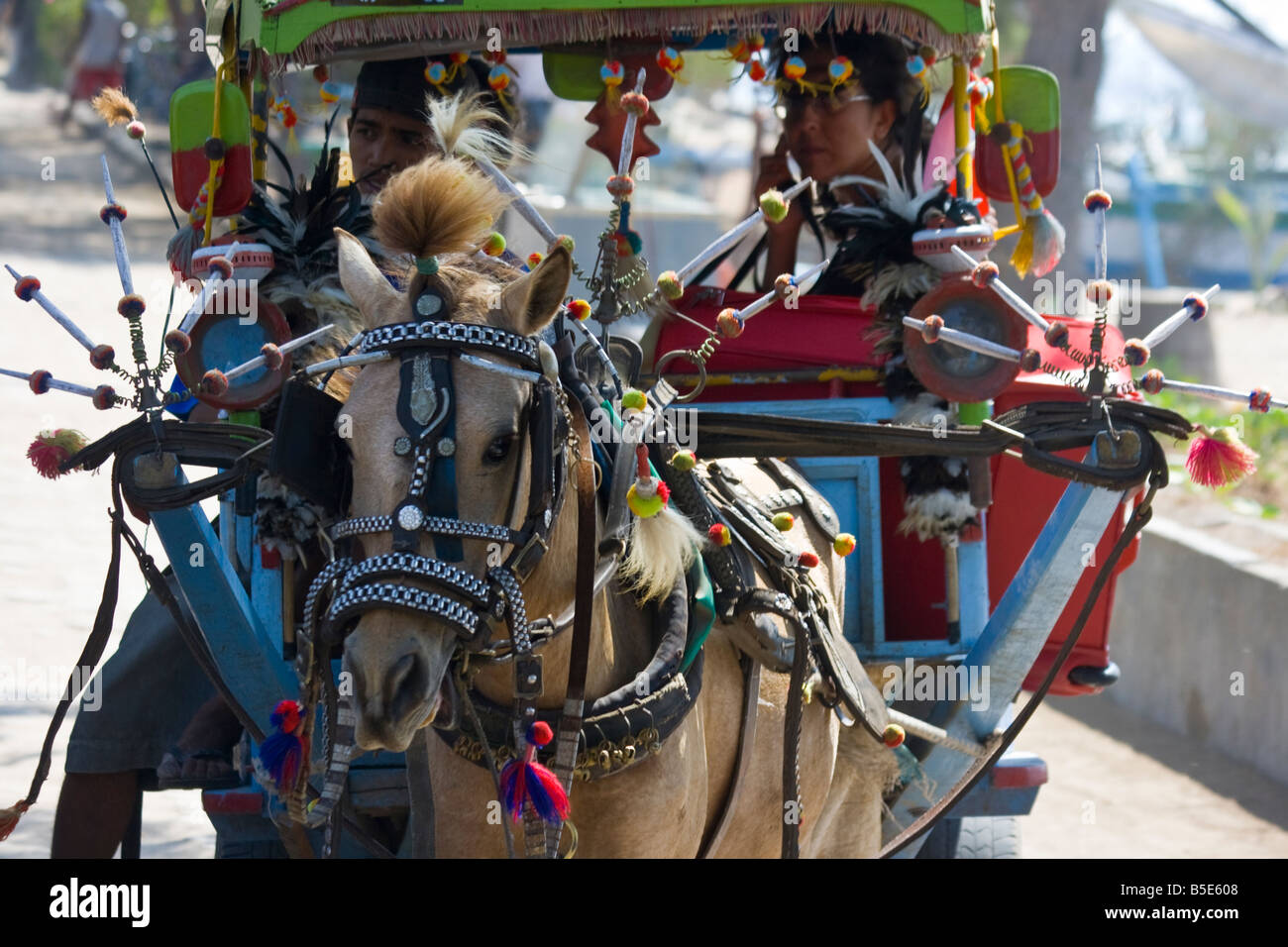 Cidomo Horse Carriage on Lombok Island in Indonesia Stock Photo - Alamy