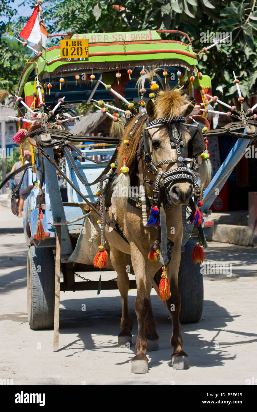 Cidomo Horse Carriage on Lombok Island in Indonesia Stock Photo - Alamy