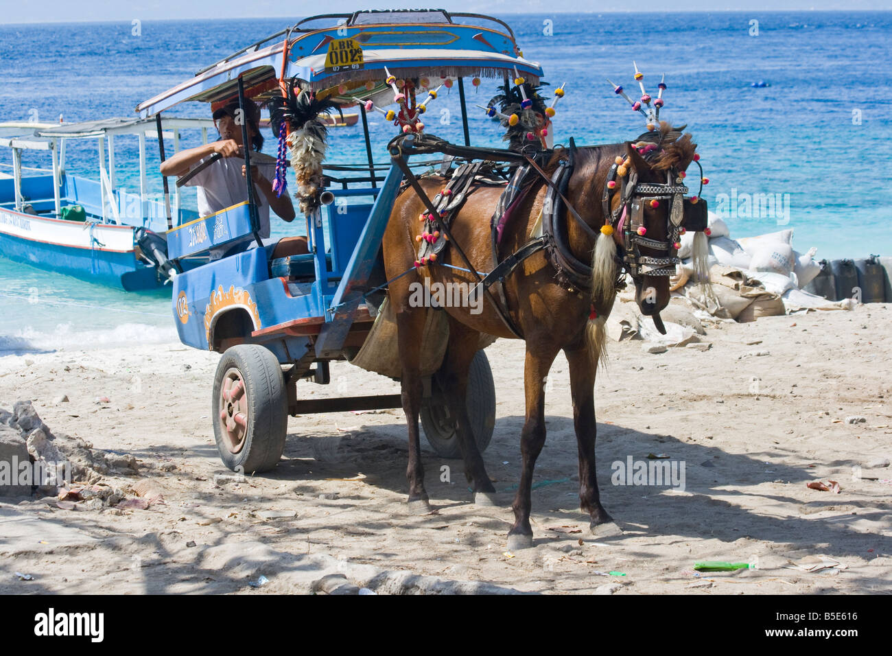 Cidomo Horse Carriage on Lombok Island in Indonesia Stock Photo - Alamy
