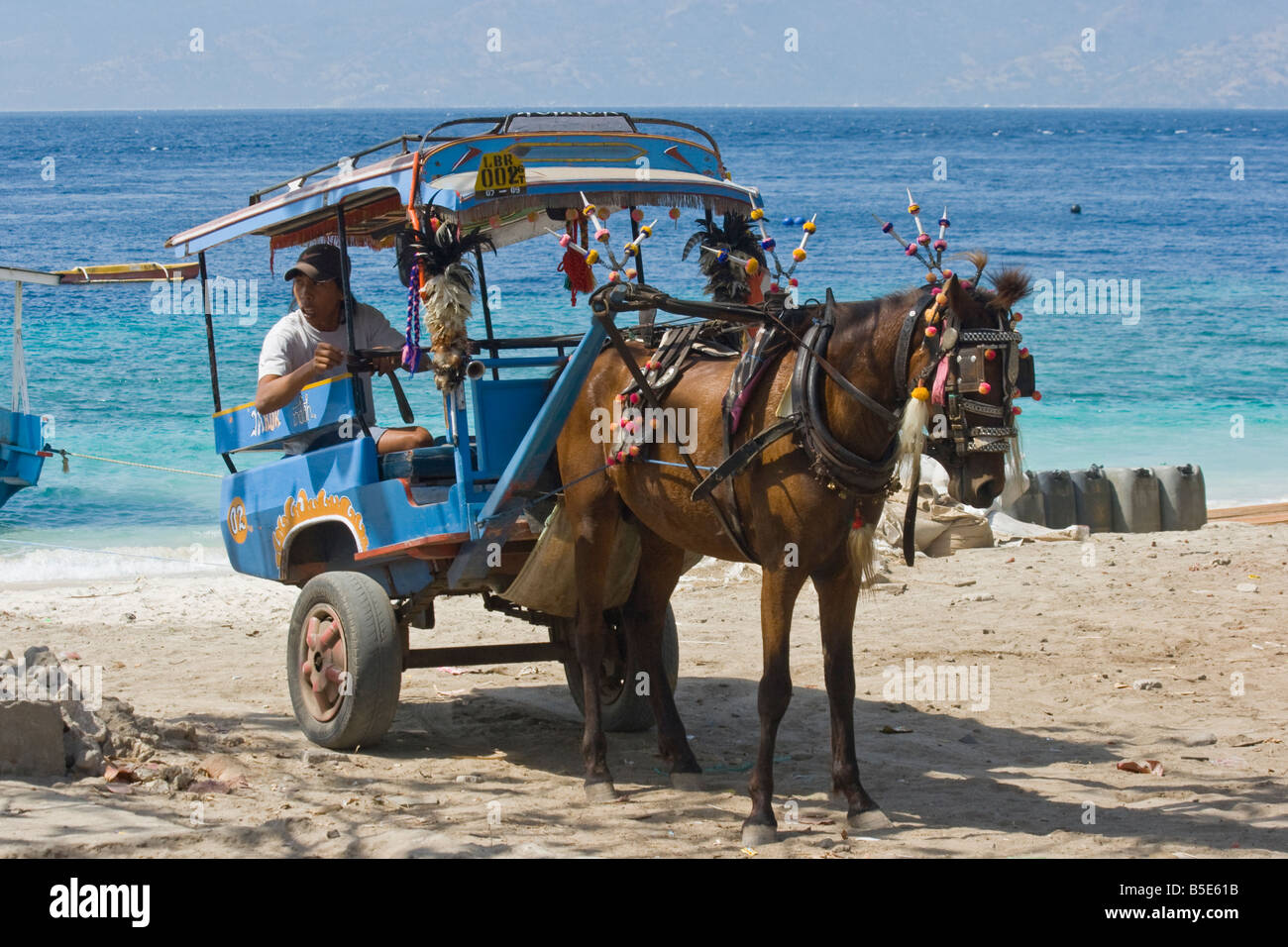 Cidomo Horse Carriage on Lombok Island in Indonesia Stock Photo - Alamy