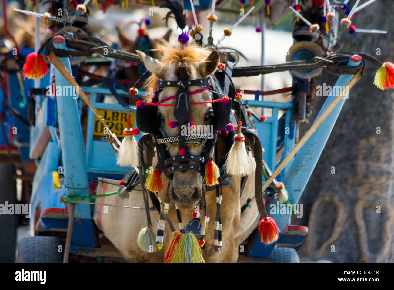 Cidomo Horse Carriage on Lombok Island in Indonesia Stock Photo - Alamy