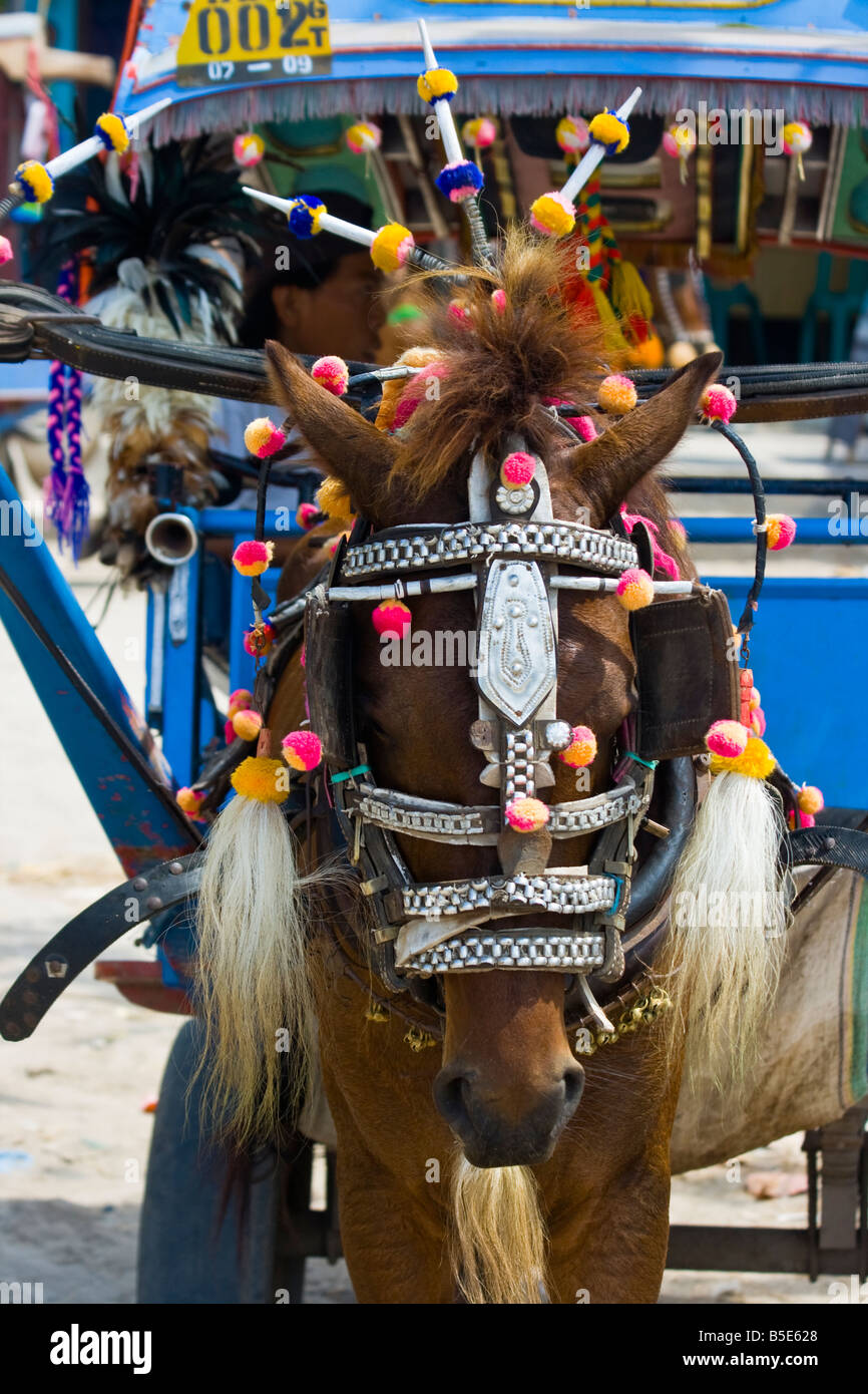 Cidomo Horse Carriage on Lombok Island in Indonesia Stock Photo - Alamy