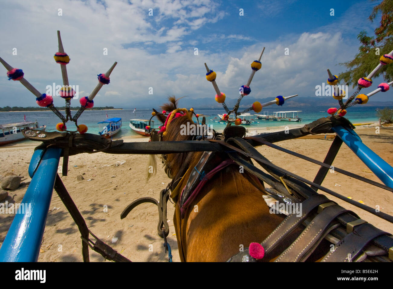 Cidomo Horse Carriage on Lombok Island in Indonesia Stock Photo - Alamy
