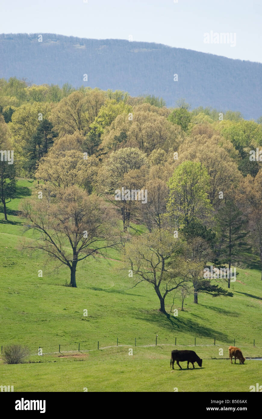 Farm virginia hi-res stock photography and images - Alamy