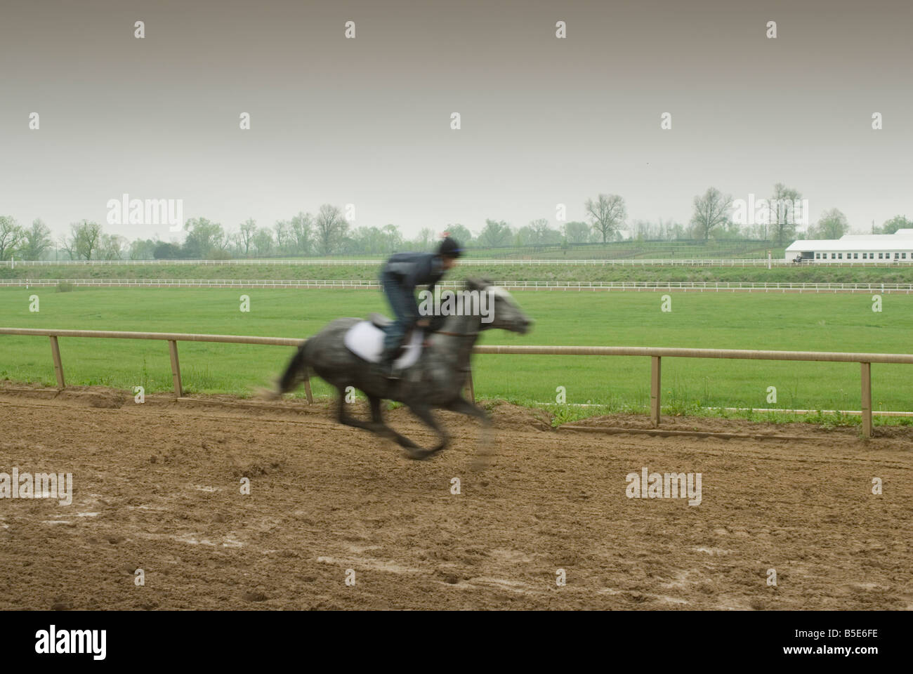Kentucky horse center hi-res stock photography and images - Alamy