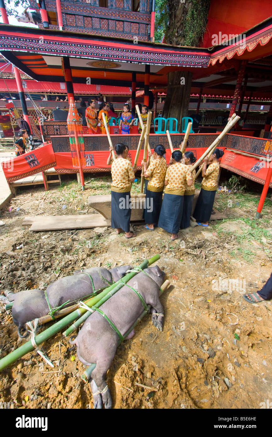 Women on a Traditional Drum at a Funeral Ceremony at Tallunglipu ...