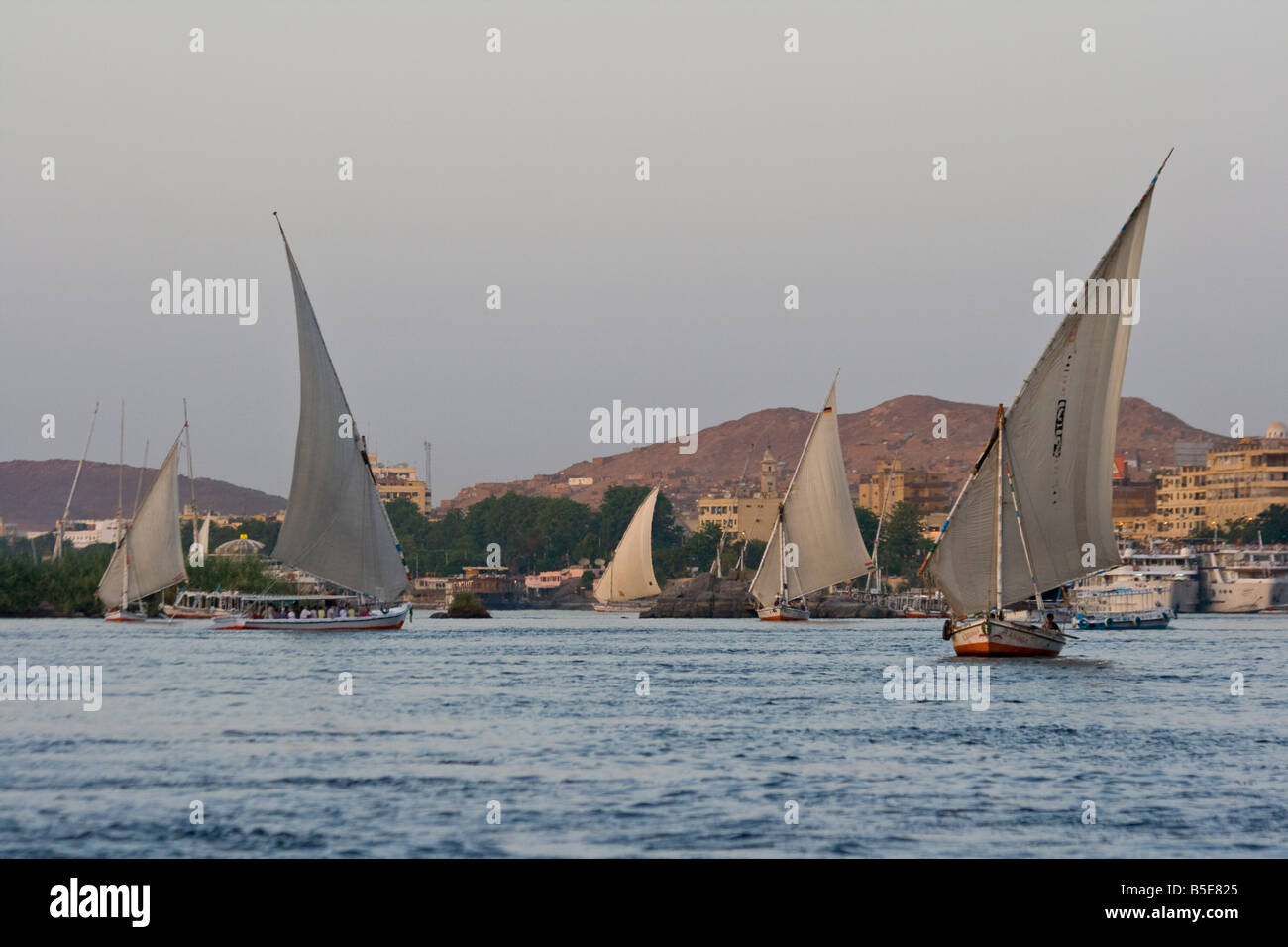 Felucca Sailboats on the Nile River in Aswan Egypt Stock Photo - Alamy