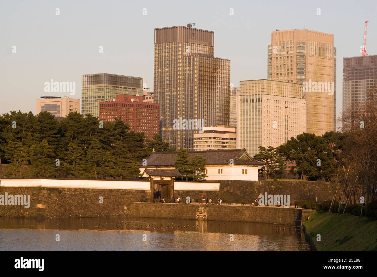 Skyscrapers stand over the Kitanomaru Park in Tokyo, Japan. The ...