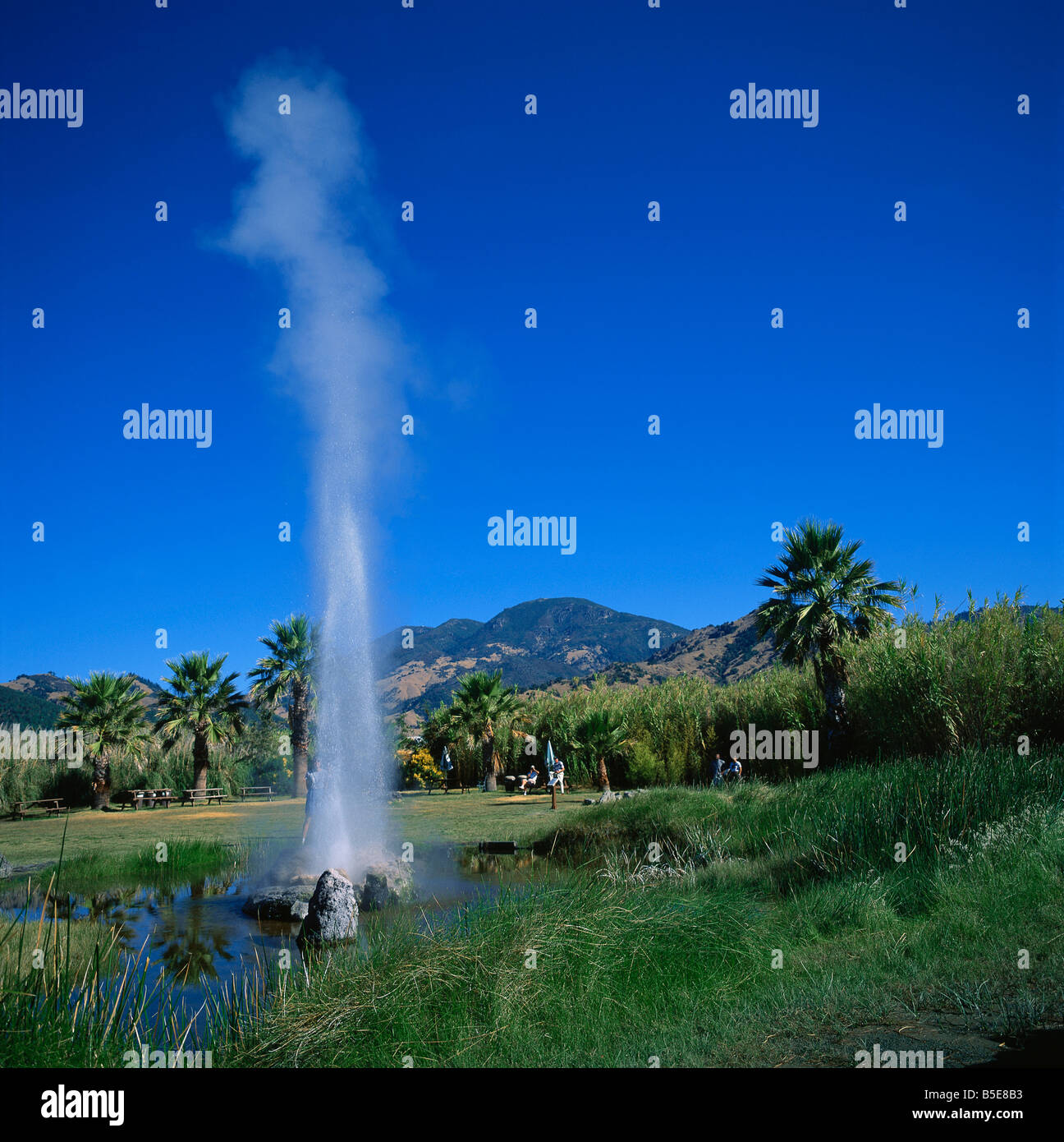 1000 lbs hi-res stock photography and images - Alamy