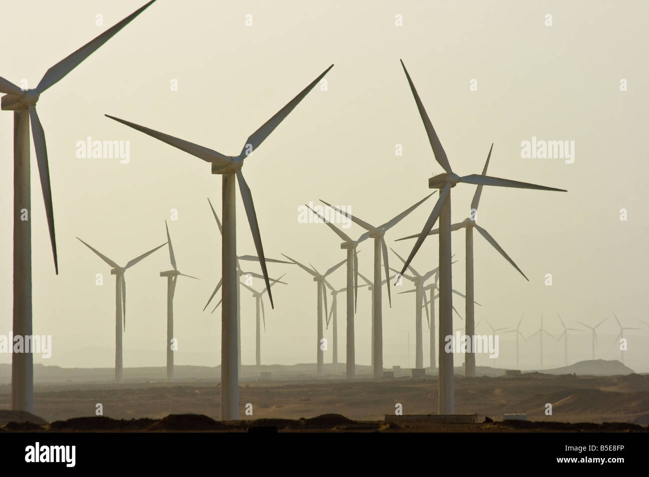 Wind Power in the Sinai Peninsula in Egypt Stock Photo - Alamy