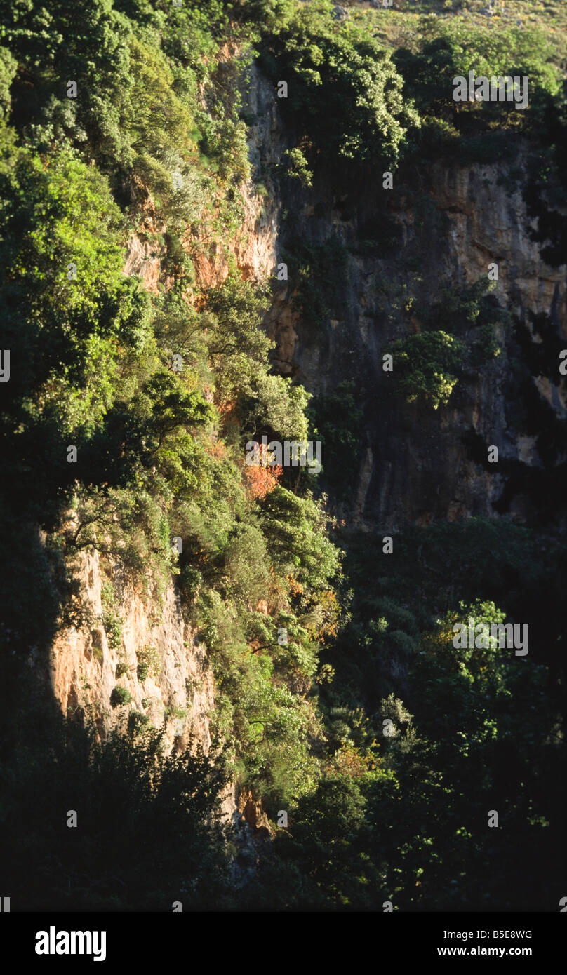 Gorge of Therriso Chania province Crete Greece Kreta Griechenland Stock ...