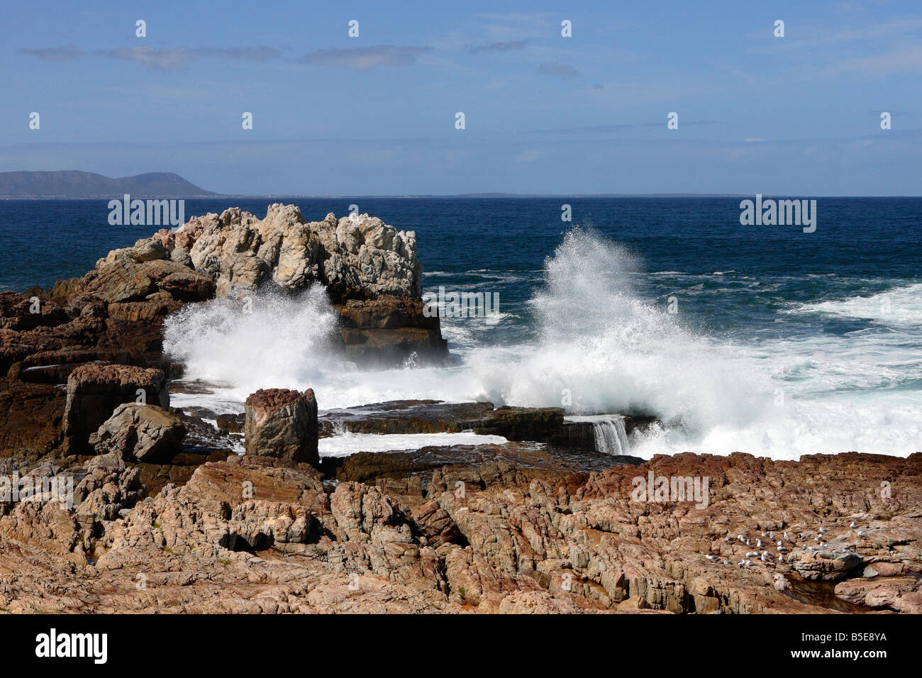 Coast line of Hermanus - South Africa Stock Photo - Alamy