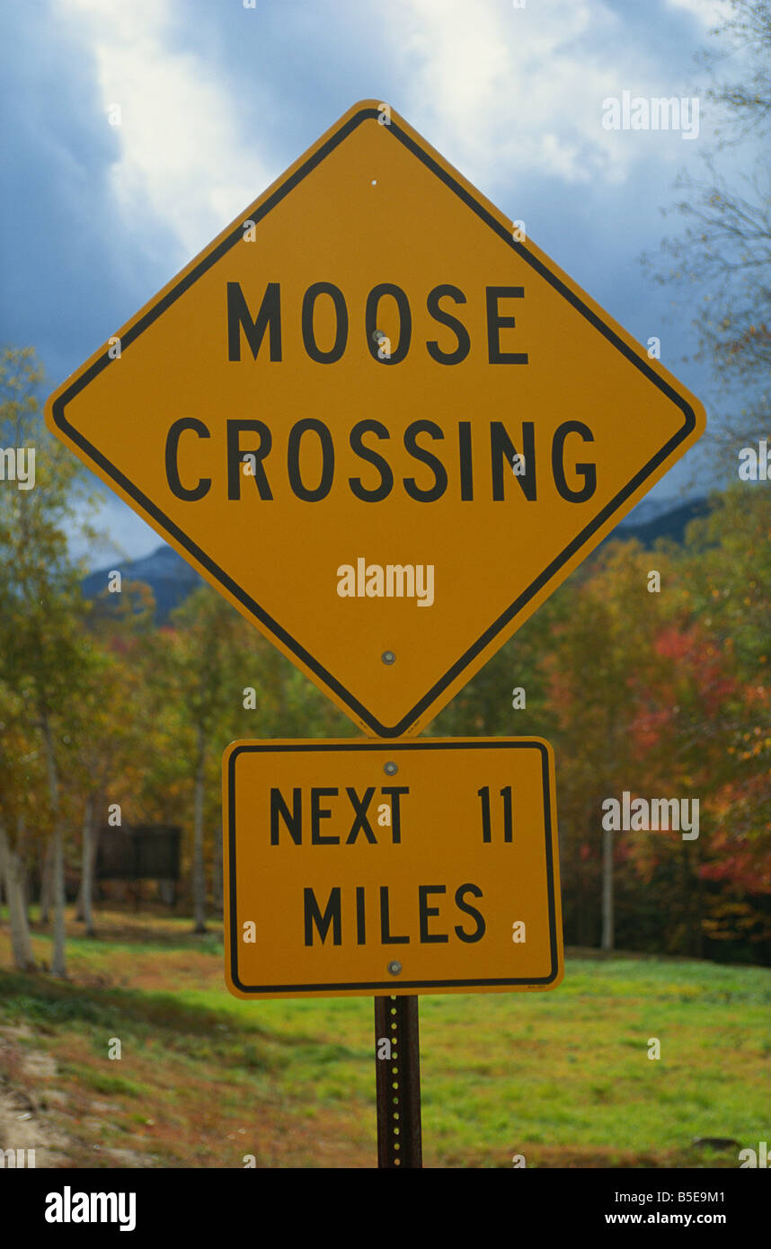 Moose Crossing road sign New England USA F Hall Stock Photo - Alamy