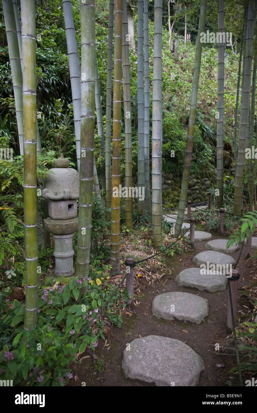 Bamboo Grove at Hase-Dera Temple, Kamakura Stock Photo - Alamy Bamboo Grove at Hase-Dera Temple, Kamakura Stock Photo - Alamy