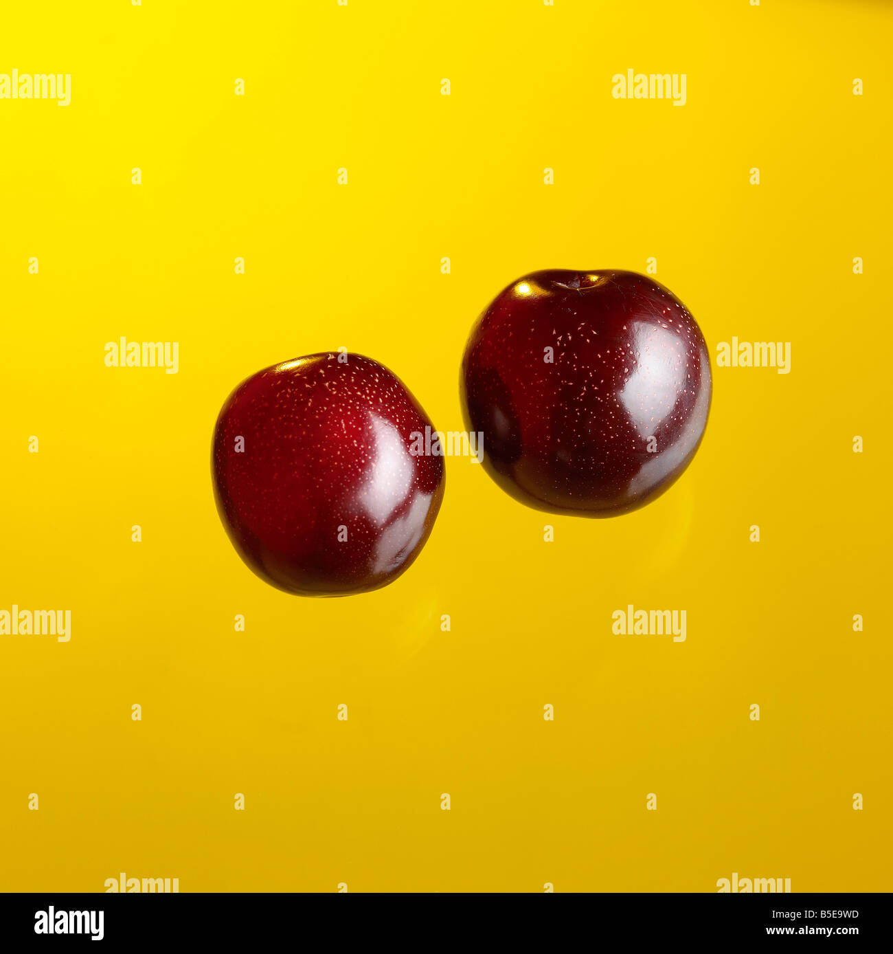 two plums on bright yellow background Stock Photo - Alamy
