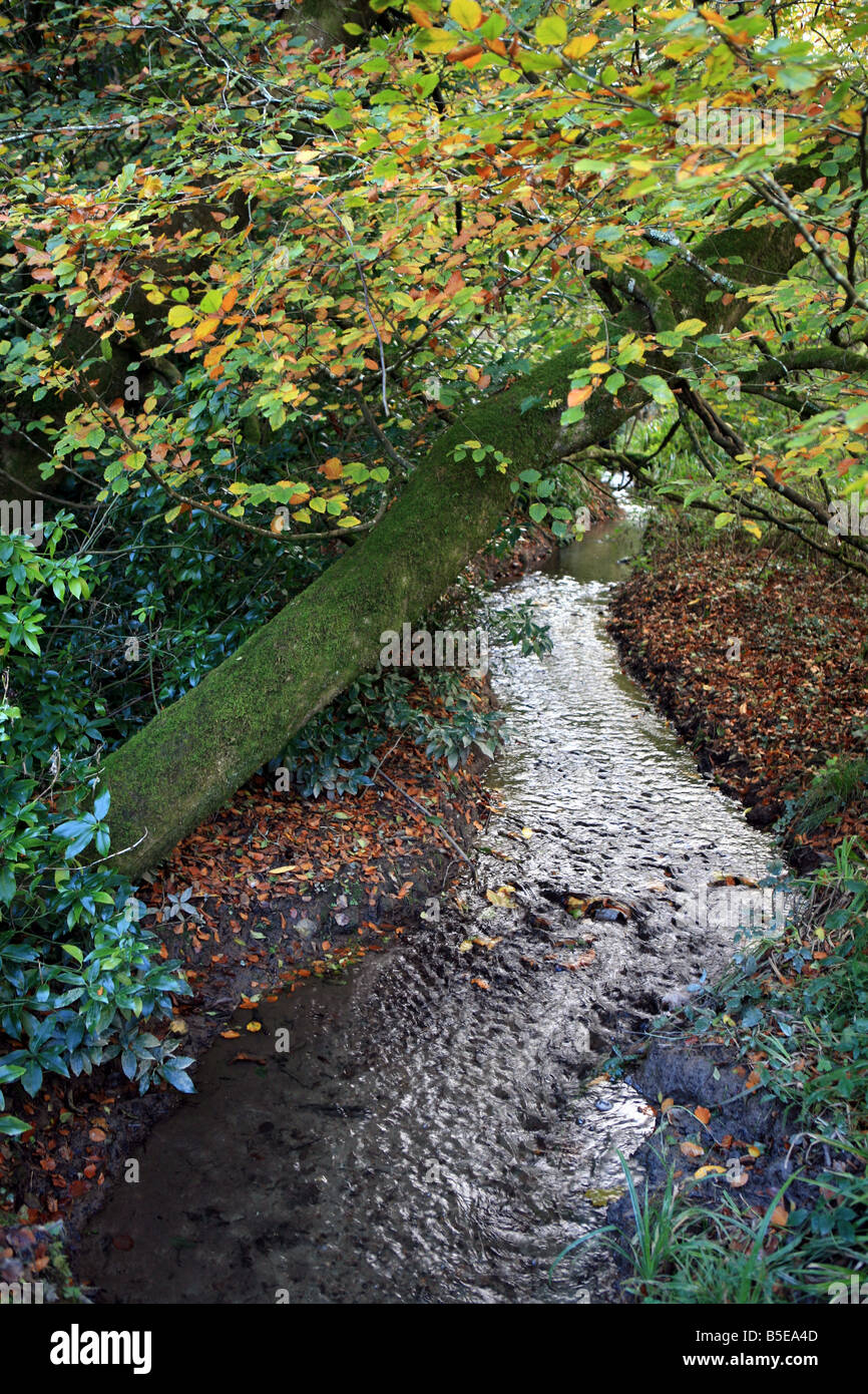 Pencalenick hi-res stock photography and images - Alamy