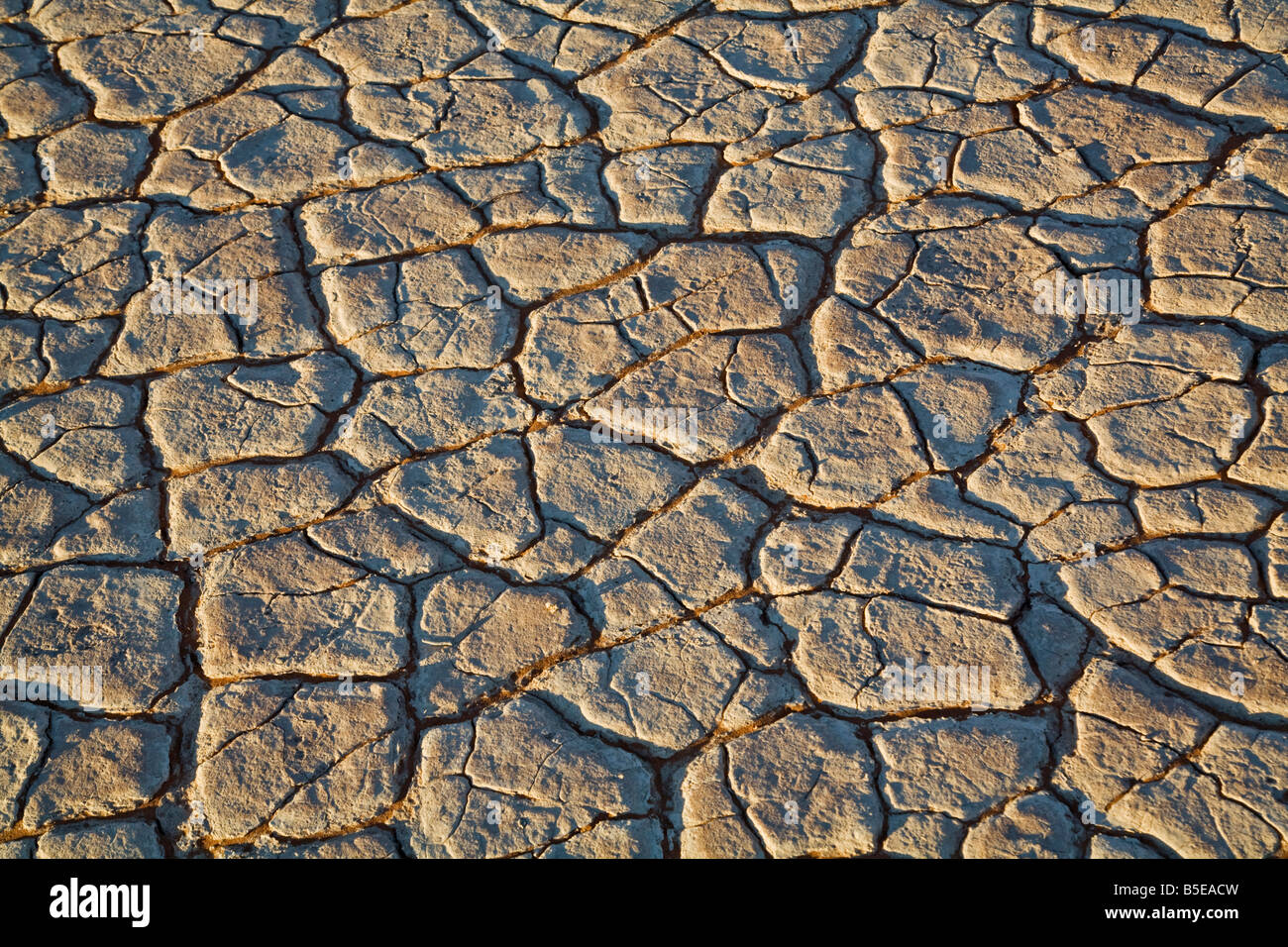 Africa, Namibia, Namib Desert, Cracked ground, full frame Stock Photo ...