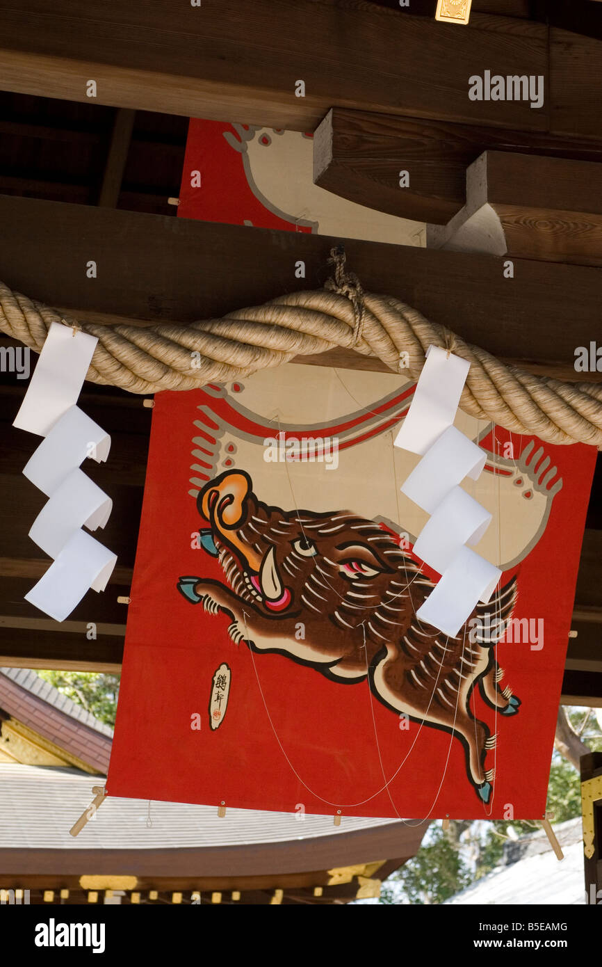 Japanese wild boar hi-res stock photography and images - Alamy