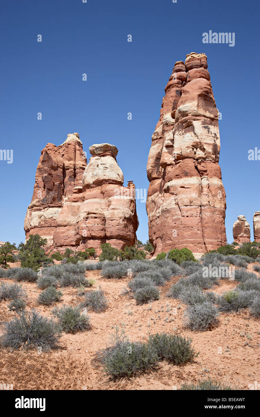 Rock needle needles district canyonlands hi-res stock photography and ...