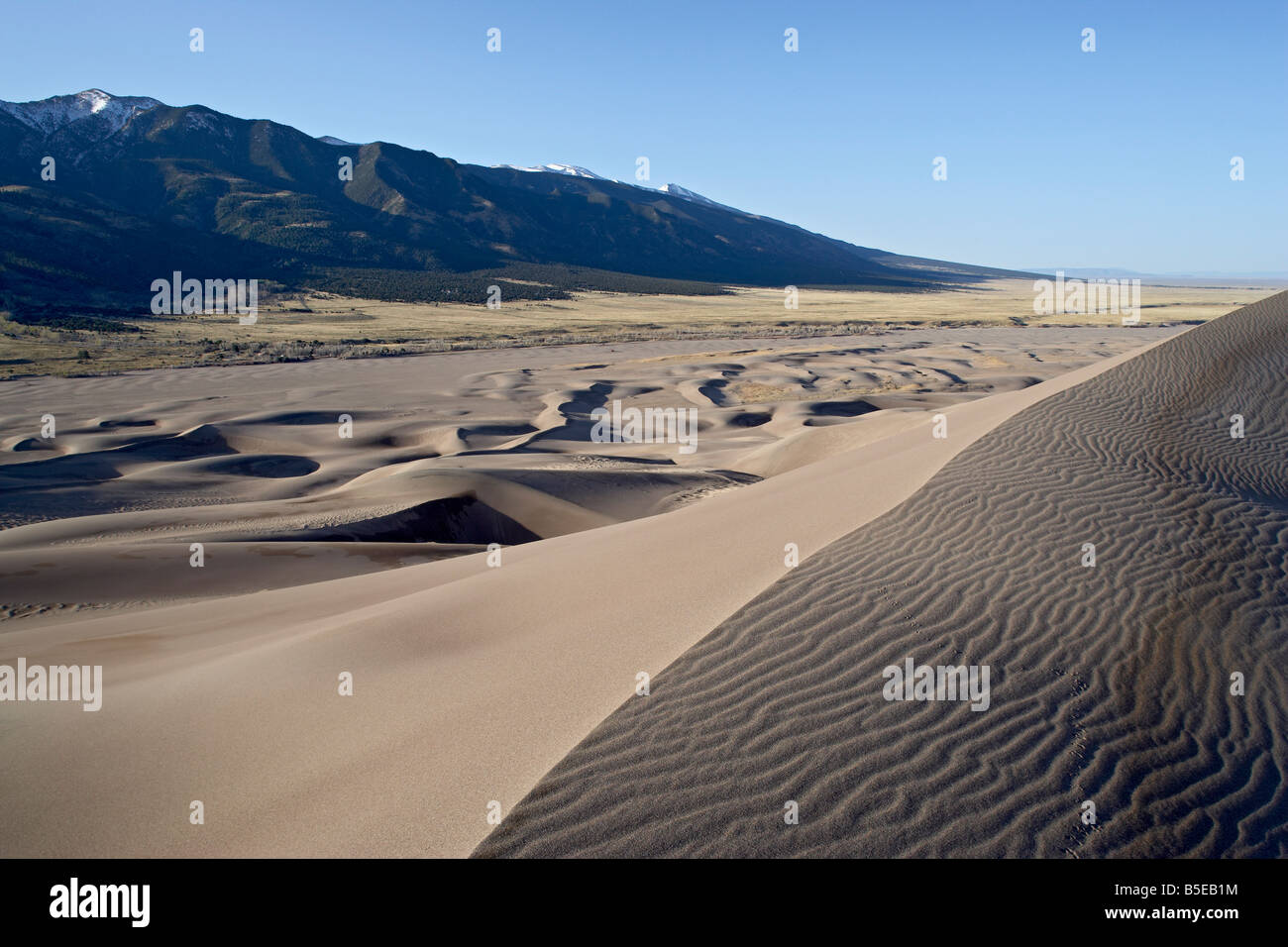 Sand dunes at dawn, Great Sand Dunes Narional Park and Preserve ...