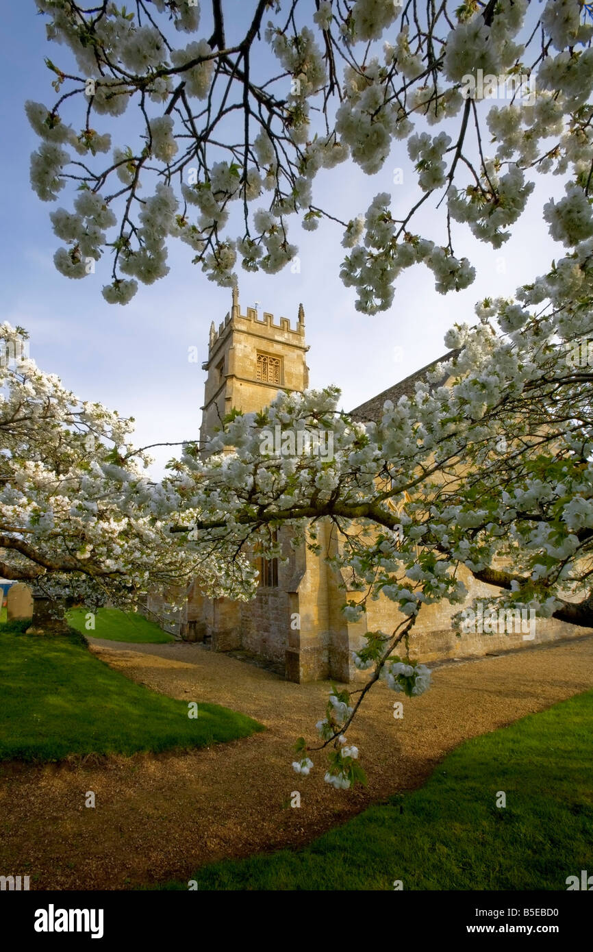 a church with trees in blossom in the churhyard Stock Photo - Alamy