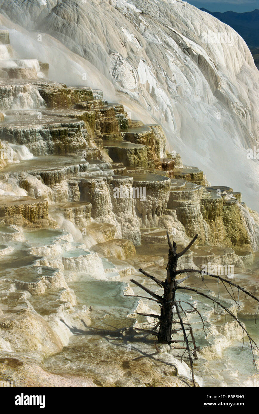 Calcite spring hi-res stock photography and images - Alamy