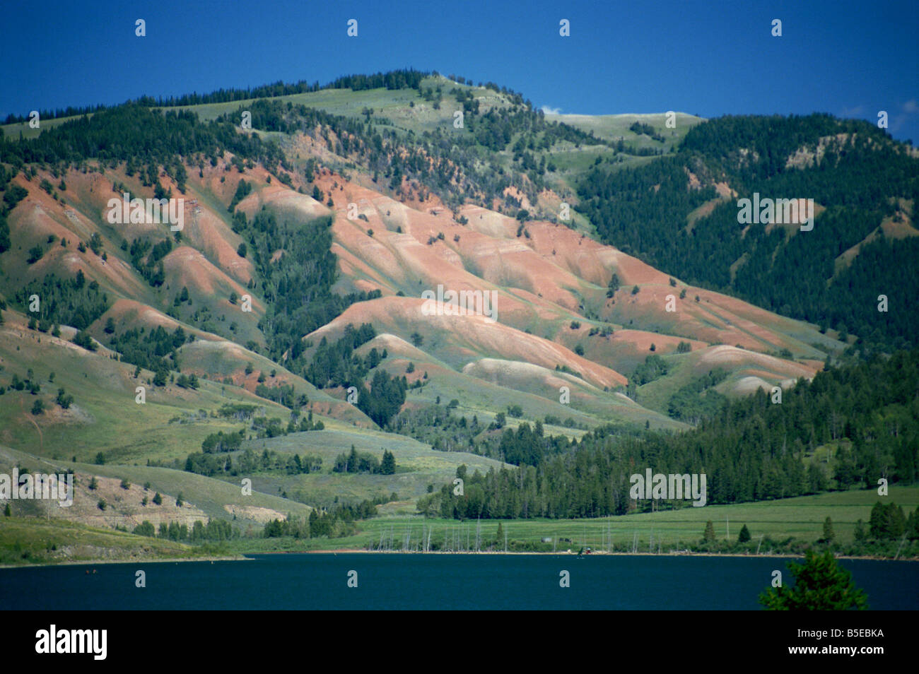 Red shale exposed on hillside Gros Ventre Valley Wyoming United States ...