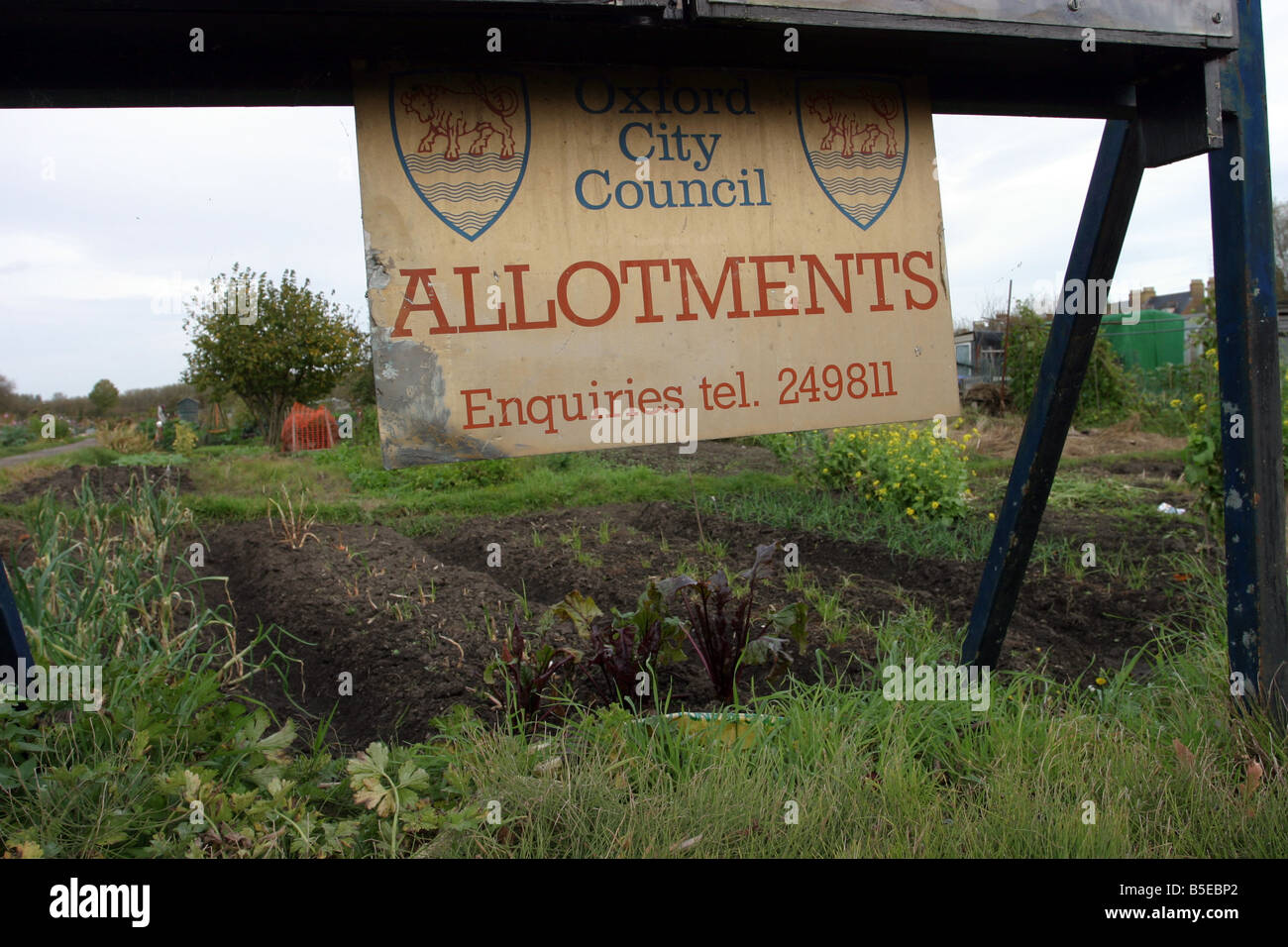 Council plot hi-res stock photography and images - Alamy