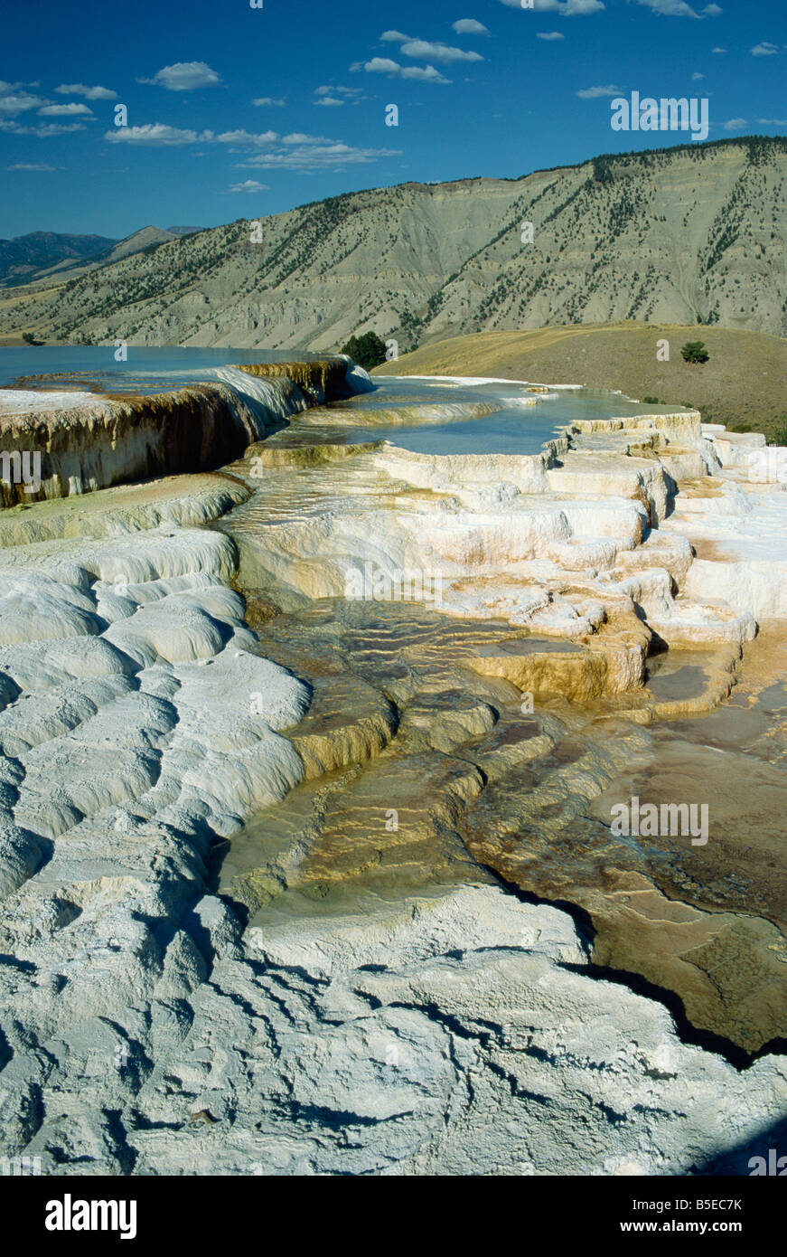 Limestone terraces, Mammoth Hot Springs and Terraces, Yellowstone ...