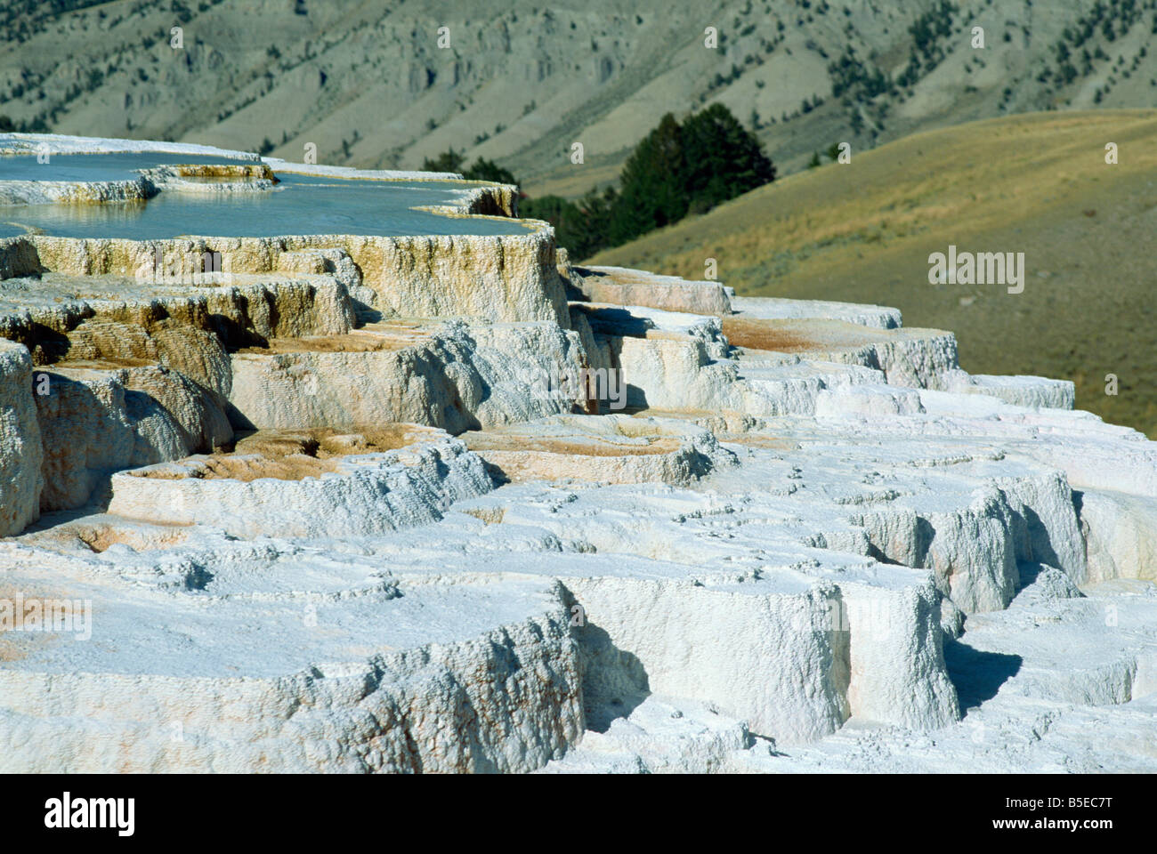 Limestone terraces, Mammoth Hot Springs and Terraces, Yellowstone ...