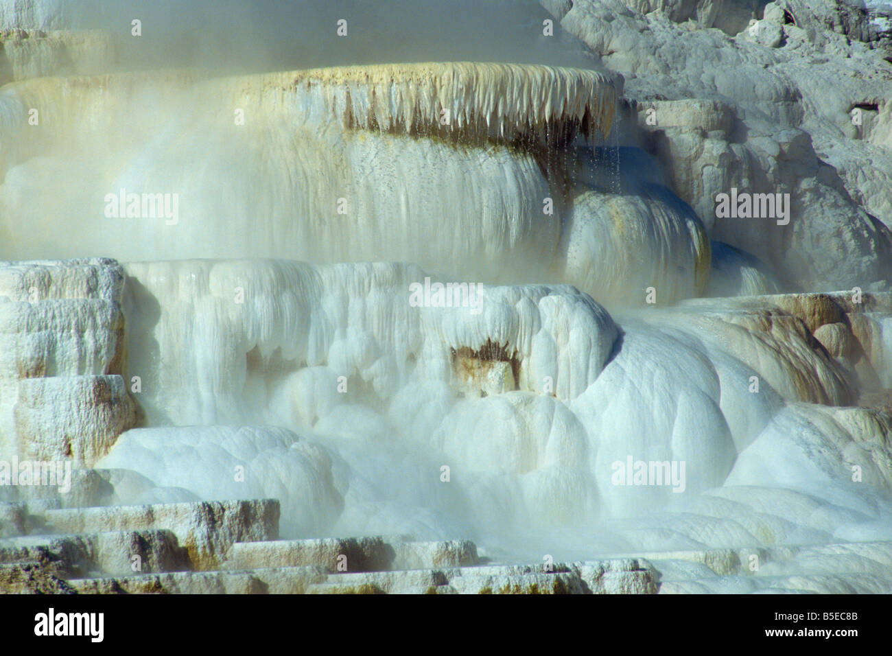 Close-up of the limestone, Mammoth Hot Springs and Terraces ...