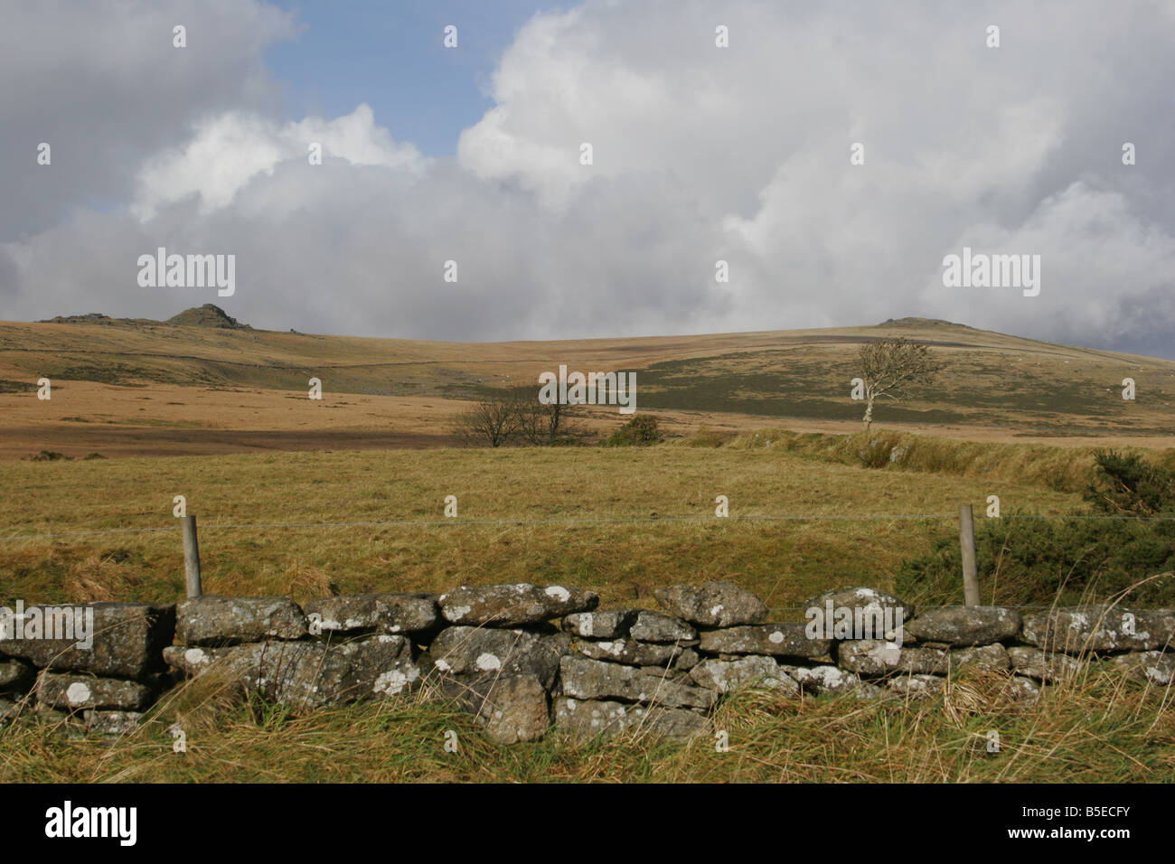 Devon tors hi-res stock photography and images - Alamy
