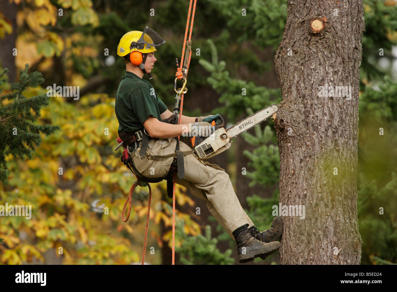 Tree trimmer hi-res stock photography and images - Alamy