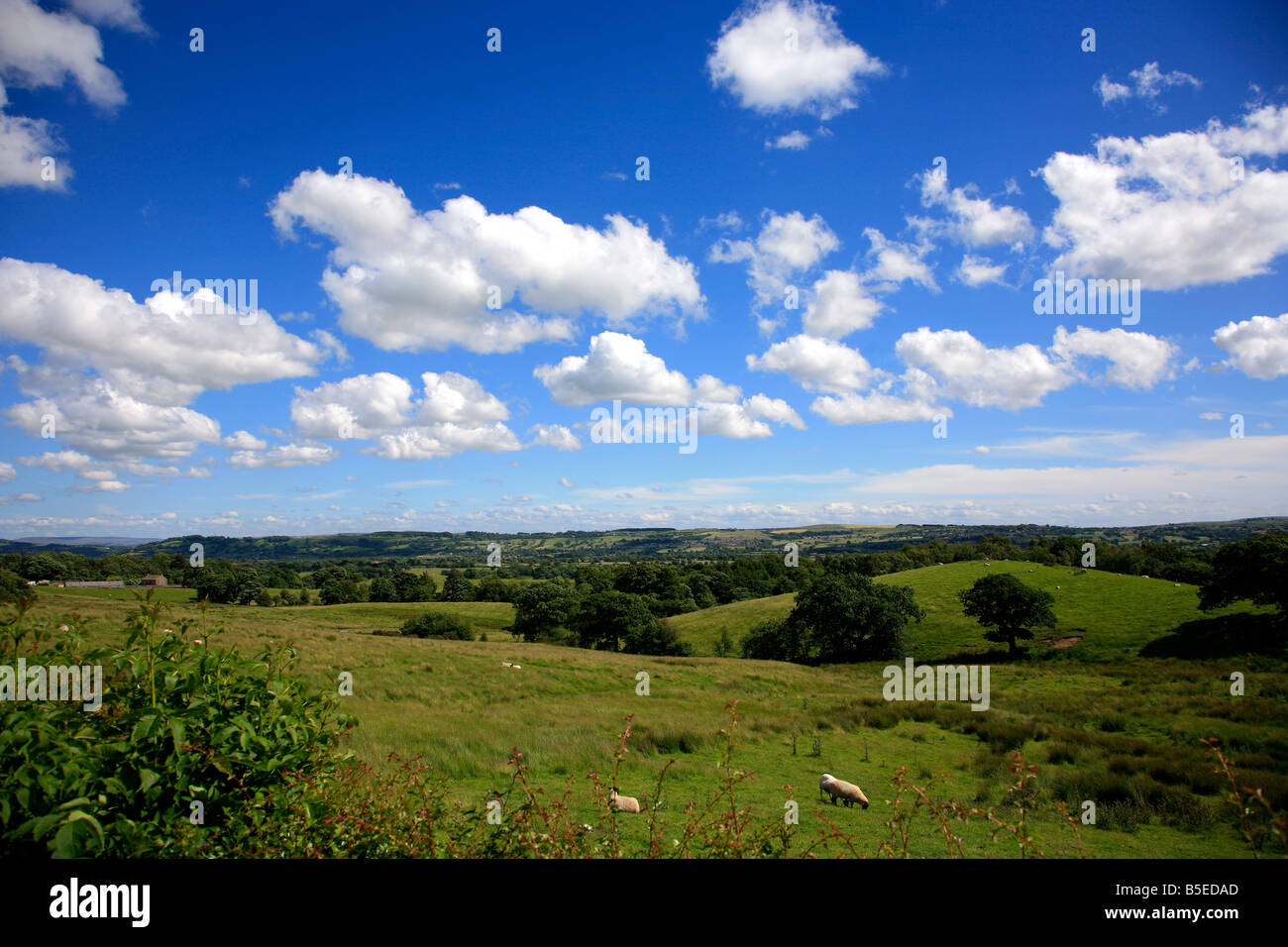 Landscape of the Forest of Pendle Lancashire County England UK Stock ...